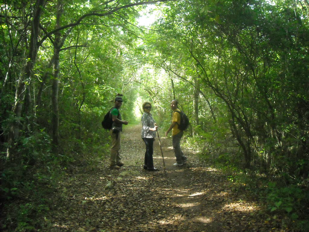 Parque Nacional del Este – Explora Dominicana